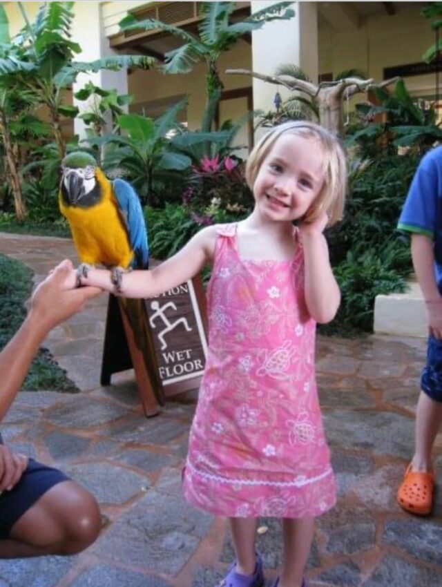 Senior Spotlight - Emily Ramsay - Lakeville North Volleyball